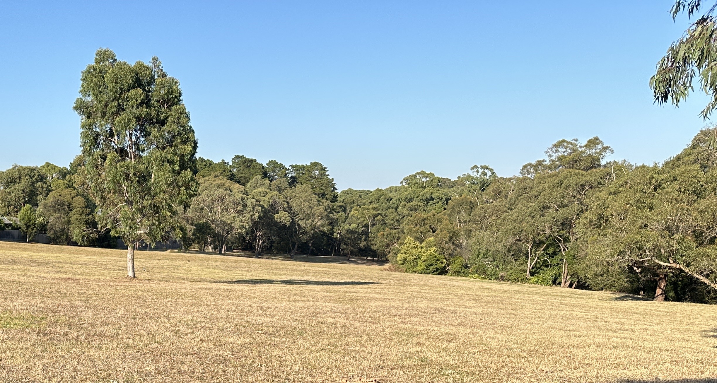 Bellbird Dell Stormwater Diversion Project | Your Say Whitehorse